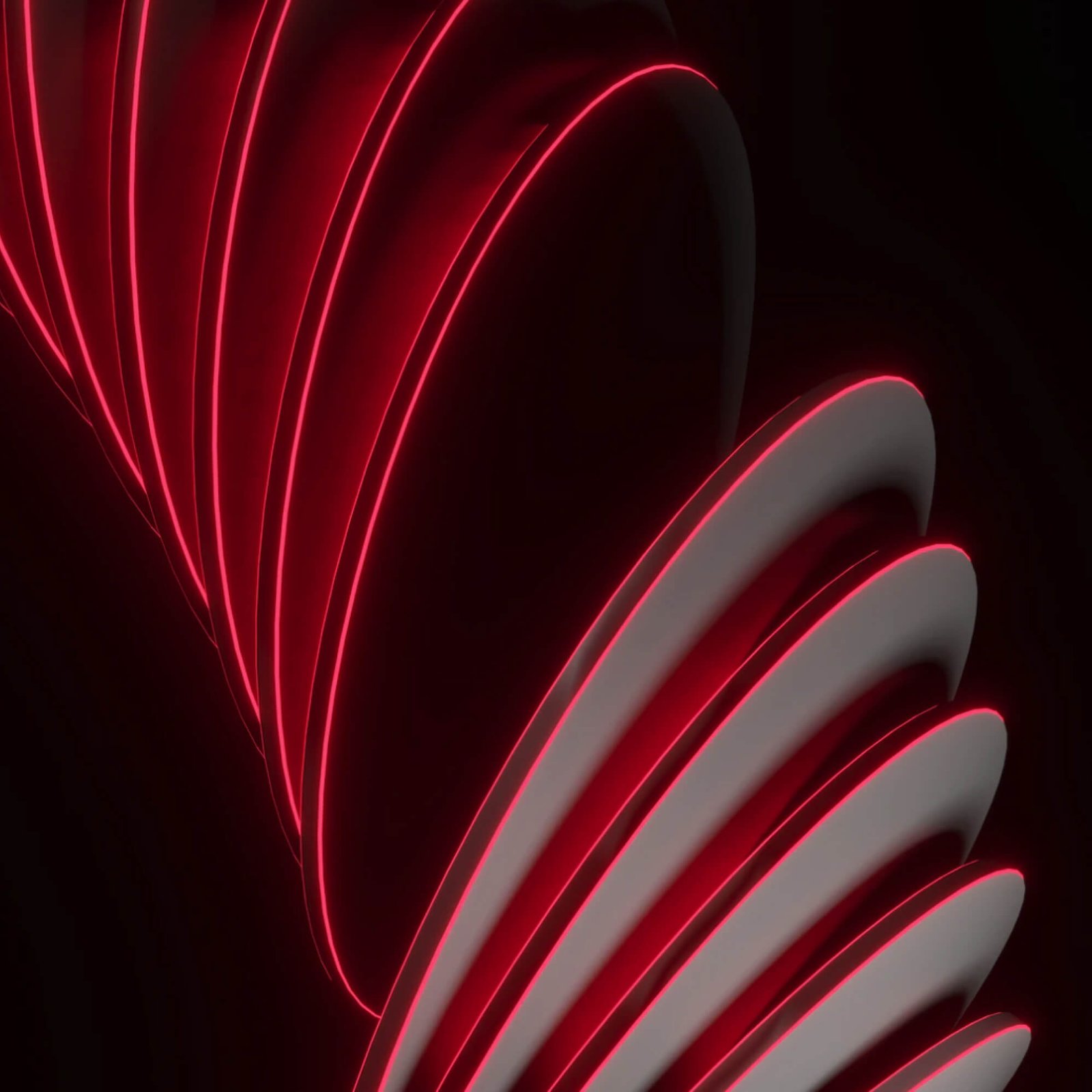 AutoDrive: Autonomous vehicle navigation with advanced Neural Networks - Stoic FX